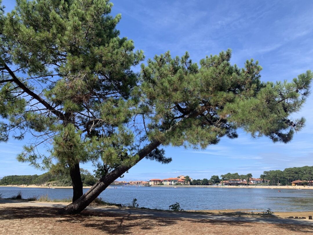 7 bonnes raisons d’aller aux Villages Club du Soleil de Soustons | Le ...